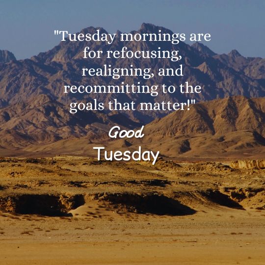 700 Good Morning Tuesday Quotes To Start Your Day - Textpalace