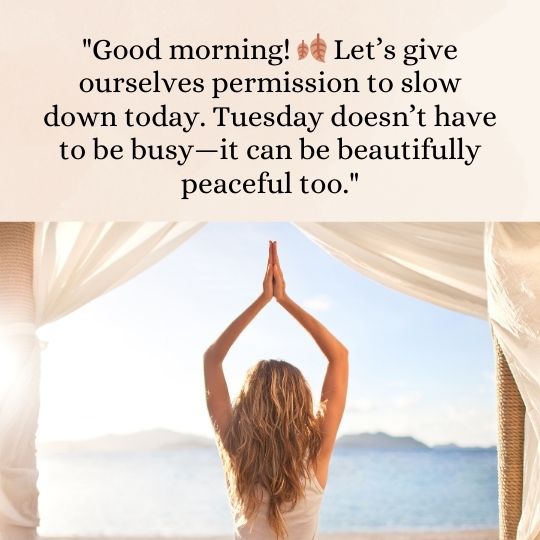 700 Good Morning Tuesday Quotes To Start Your Day - Textpalace