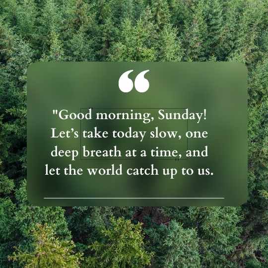 750 Good Morning Sunday Quotes To Brighten Your Day - Textpalace