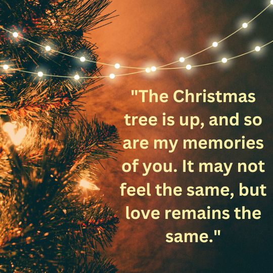 200 Christmas Grieving Quotes To Bring Peace During The Holidays ...
