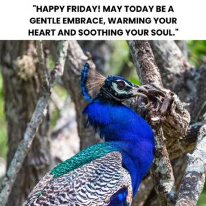 700 Good Morning Friday Quotes - Textpalace