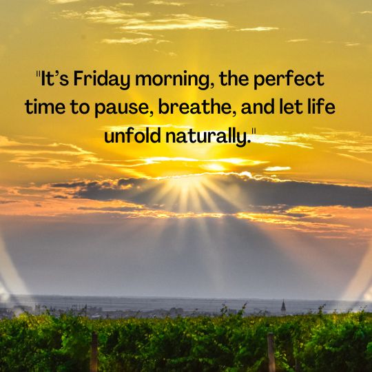 700 Good Morning Friday Quotes - Textpalace