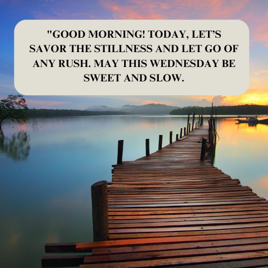 650 Good Morning Wednesday Quotes To Make Your Day - Textpalace