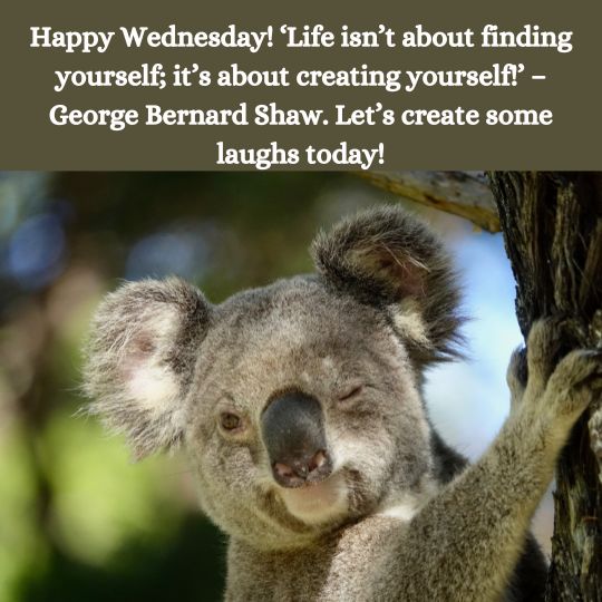 650 Good Morning Wednesday Quotes To Make Your Day - Textpalace