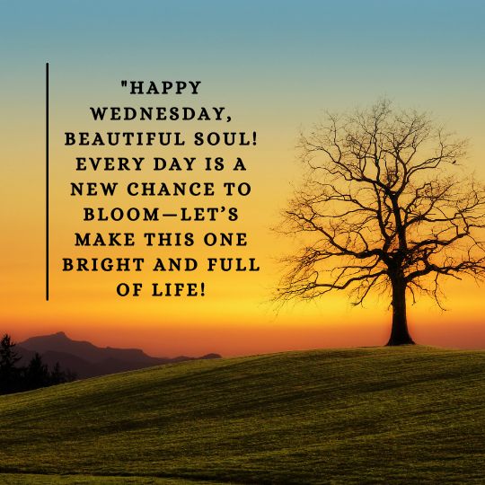 650 Good Morning Wednesday Quotes To Make Your Day - Textpalace