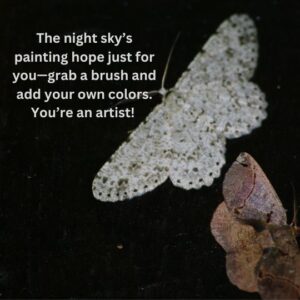 1500 Good Night Thursday Quotes For Everybody - Textpalace