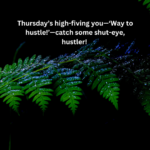1500 Good Night Thursday Quotes For Everybody - Textpalace