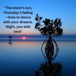1500 Good Night Thursday Quotes For Everybody - Textpalace