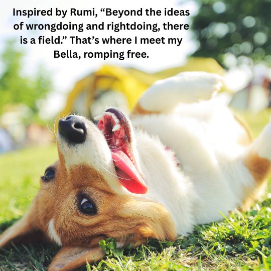 150 Heart Touching Dog Memorial Quotes For Your Lovable Dog - Textpalace