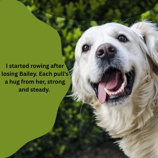 150 Heart Touching Dog Memorial Quotes For Your Lovable Dog - Textpalace