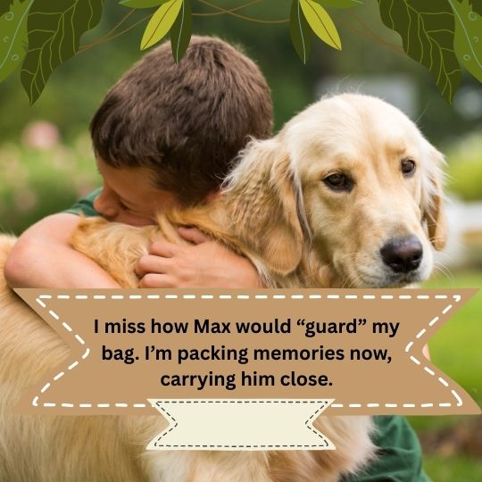 150 Heart Touching Dog Memorial Quotes For Your Lovable Dog - Textpalace