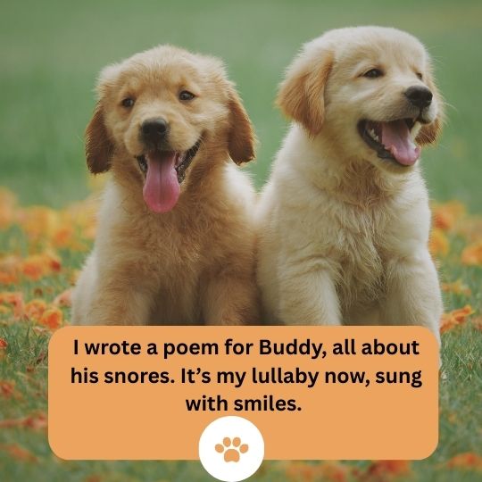 150 Heart Touching Dog Memorial Quotes For Your Lovable Dog - Textpalace