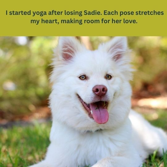 150 Heart Touching Dog Memorial Quotes For Your Lovable Dog - Textpalace