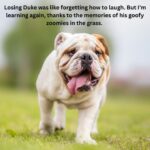 150 Heart Touching Dog Memorial Quotes For Your Lovable Dog - Textpalace