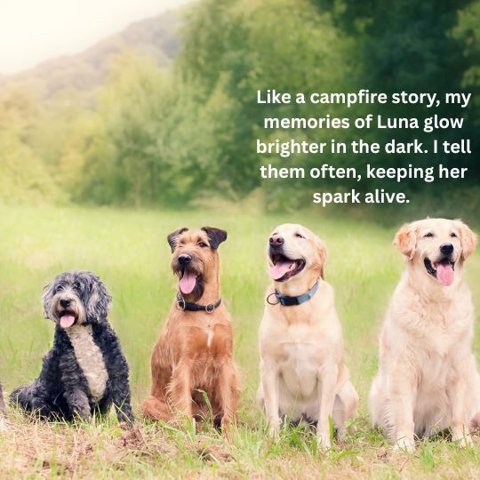 150 Heart Touching Dog Memorial Quotes For Your Lovable Dog - Textpalace