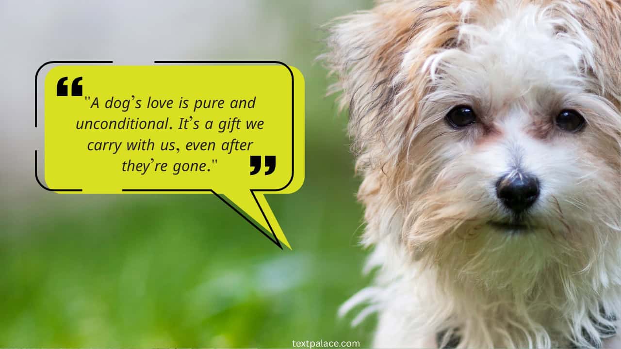 150 Heart Touching Dog Memorial Quotes For Your Lovable Dog - Textpalace